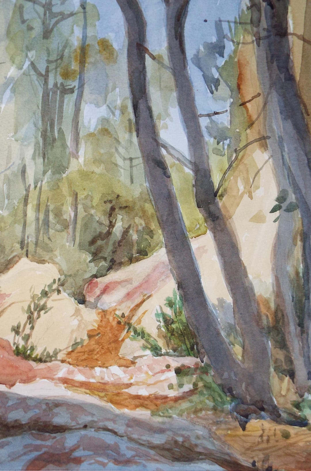 Original Watercolour, 'woodland Outcrop', Circa 1990's ,pauline Plummer ...
