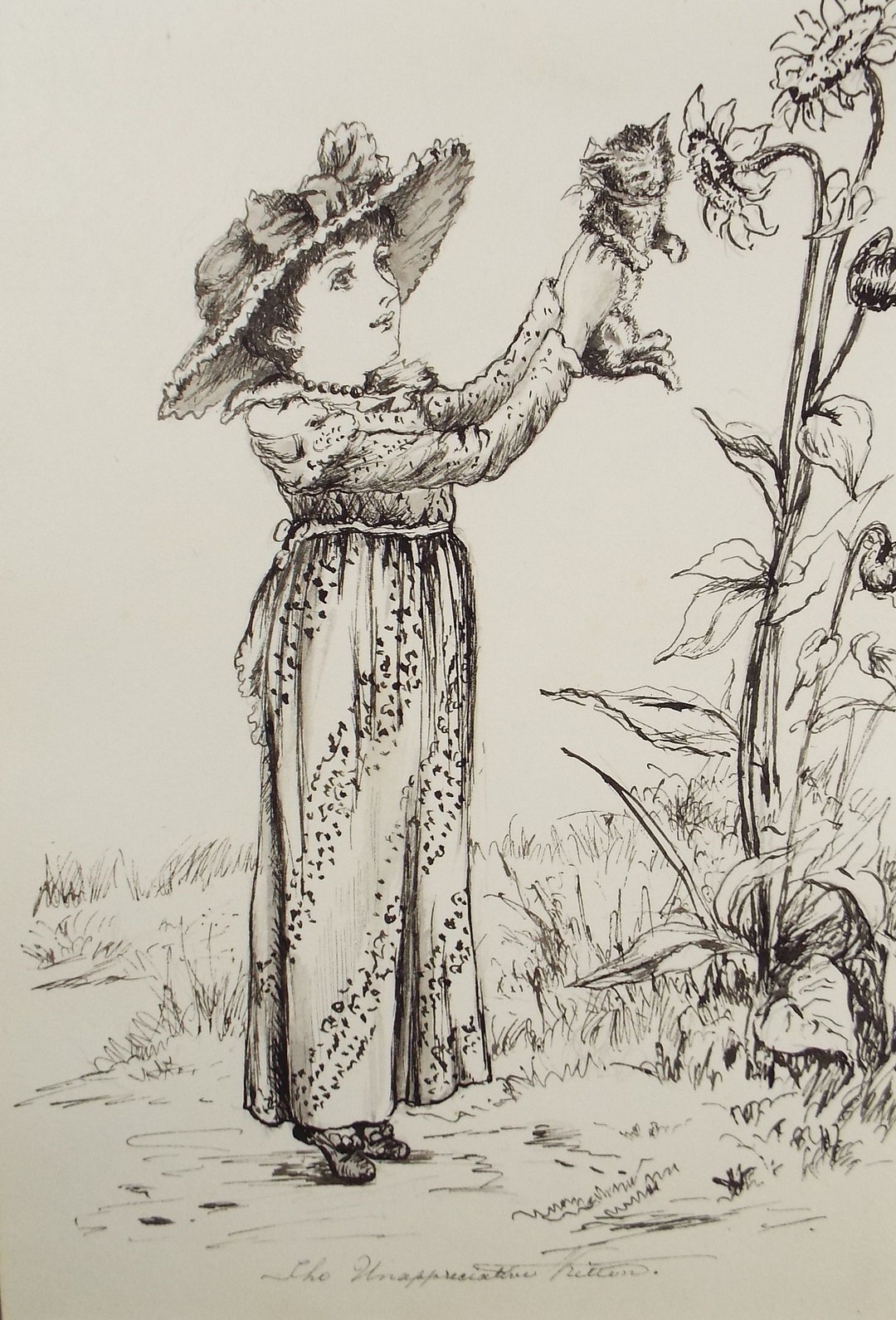 Original Pen & Ink Sketch, 'the Unappreciative Kitten', Circa 1880's ...
