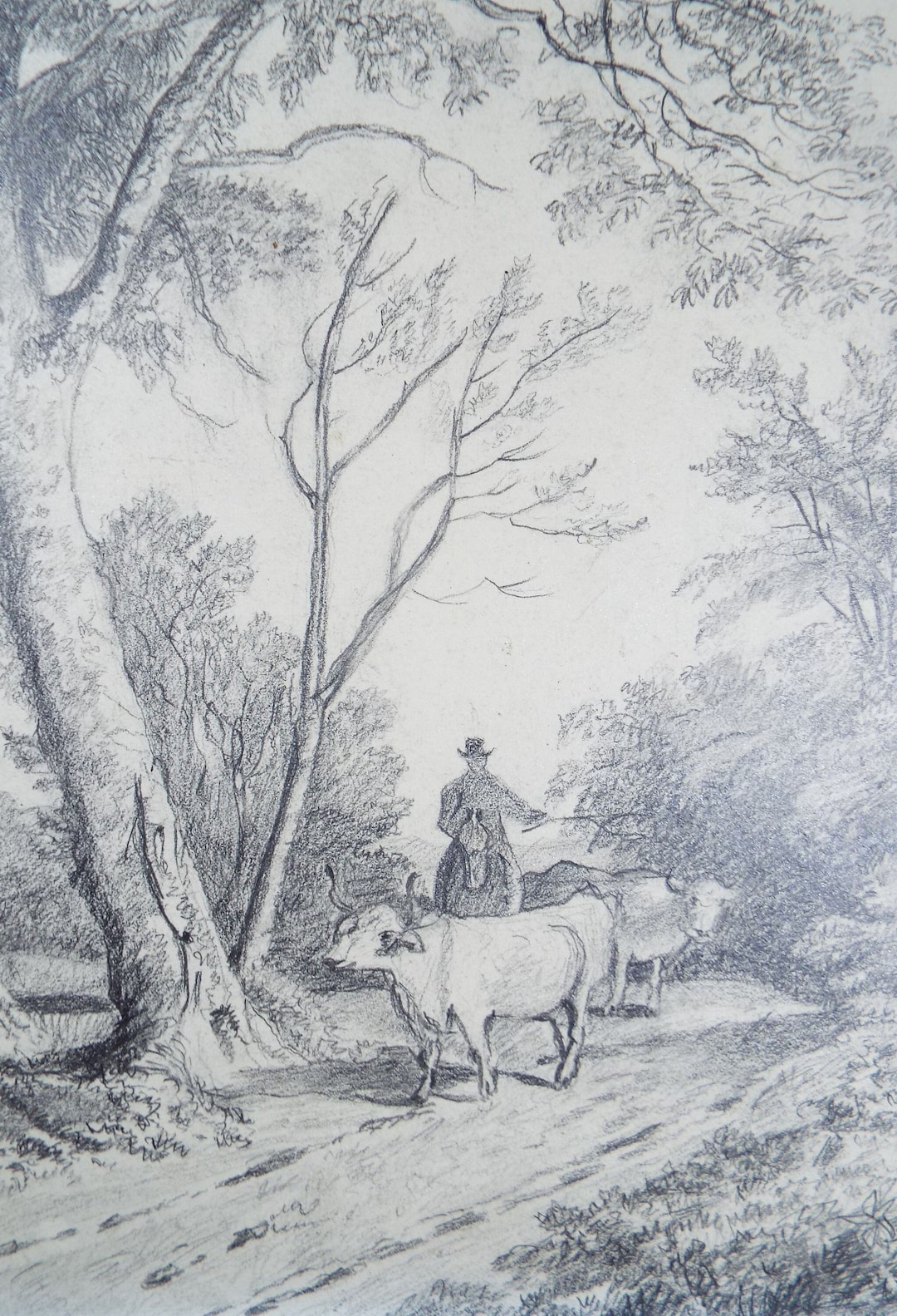 Original Pencil Drawing, 'A Drover With Cattle', Late 19th Century ...