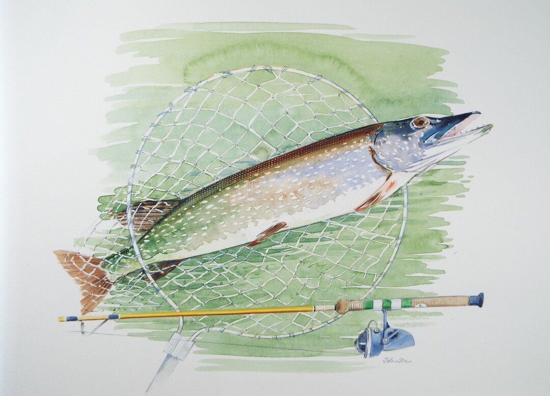 Original Watercolour 'pike in a Net', Circa 1980's, Ken Johnson (20th ...