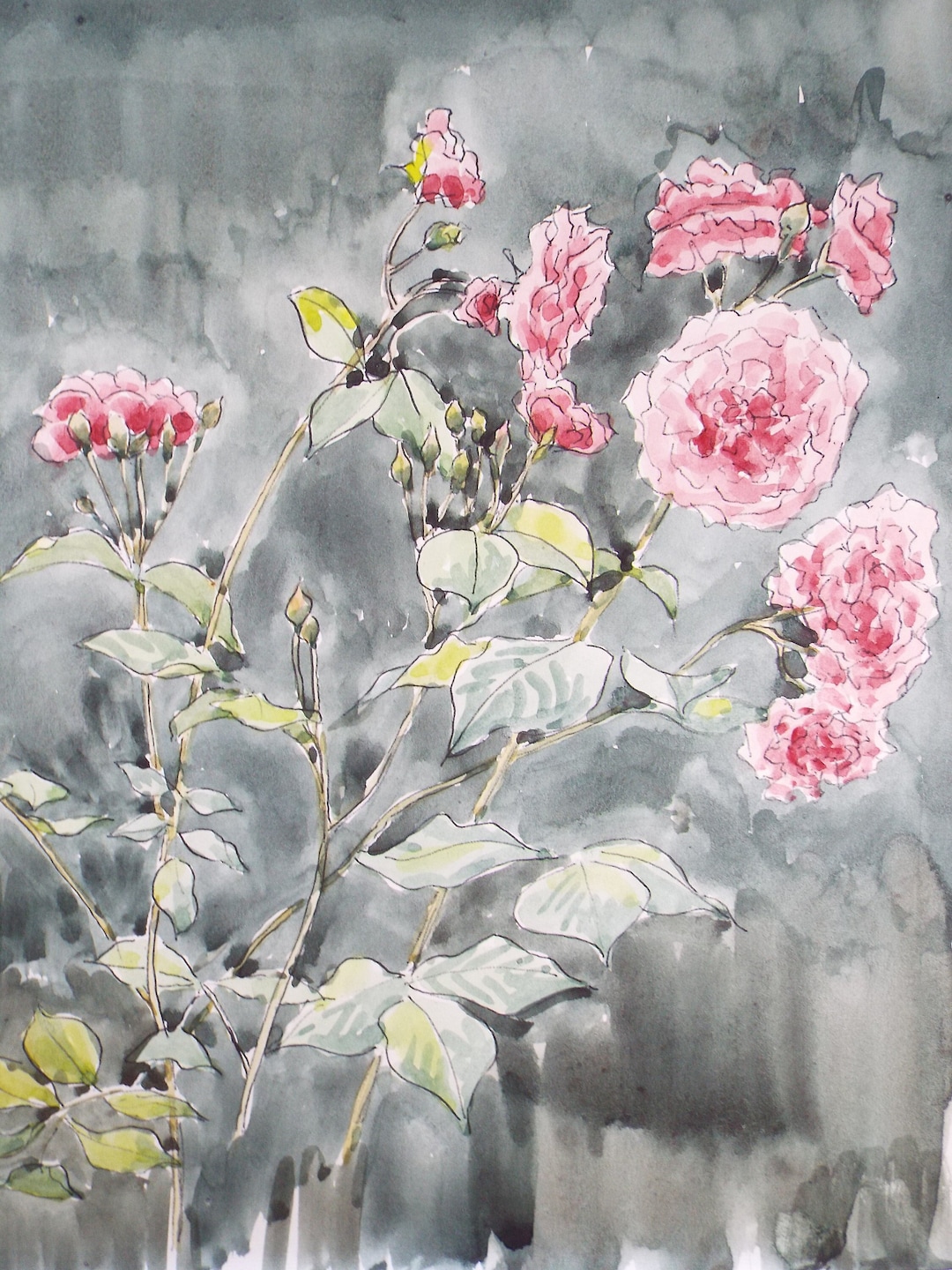 Original Watercolour, 'A Study of Roses', George Godfrey, Circa 1960's ...