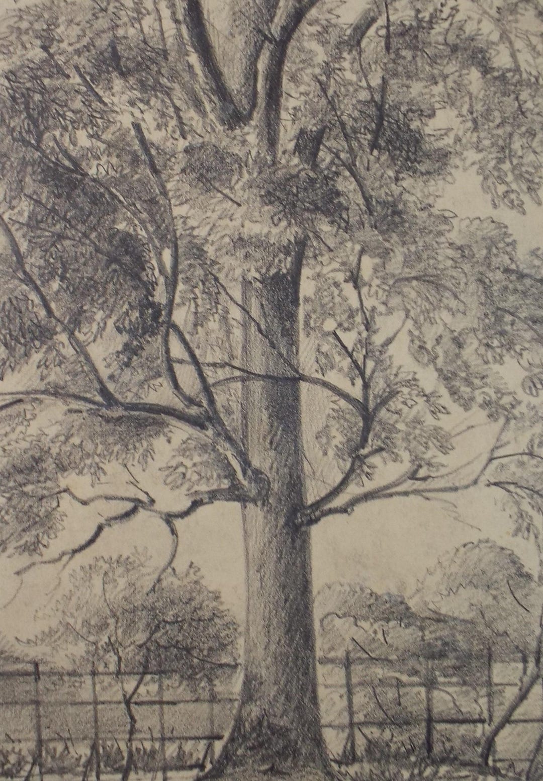Original Pencil Drawing, 'beeston Park', Dated 1874', Artist Unknown - Etsy