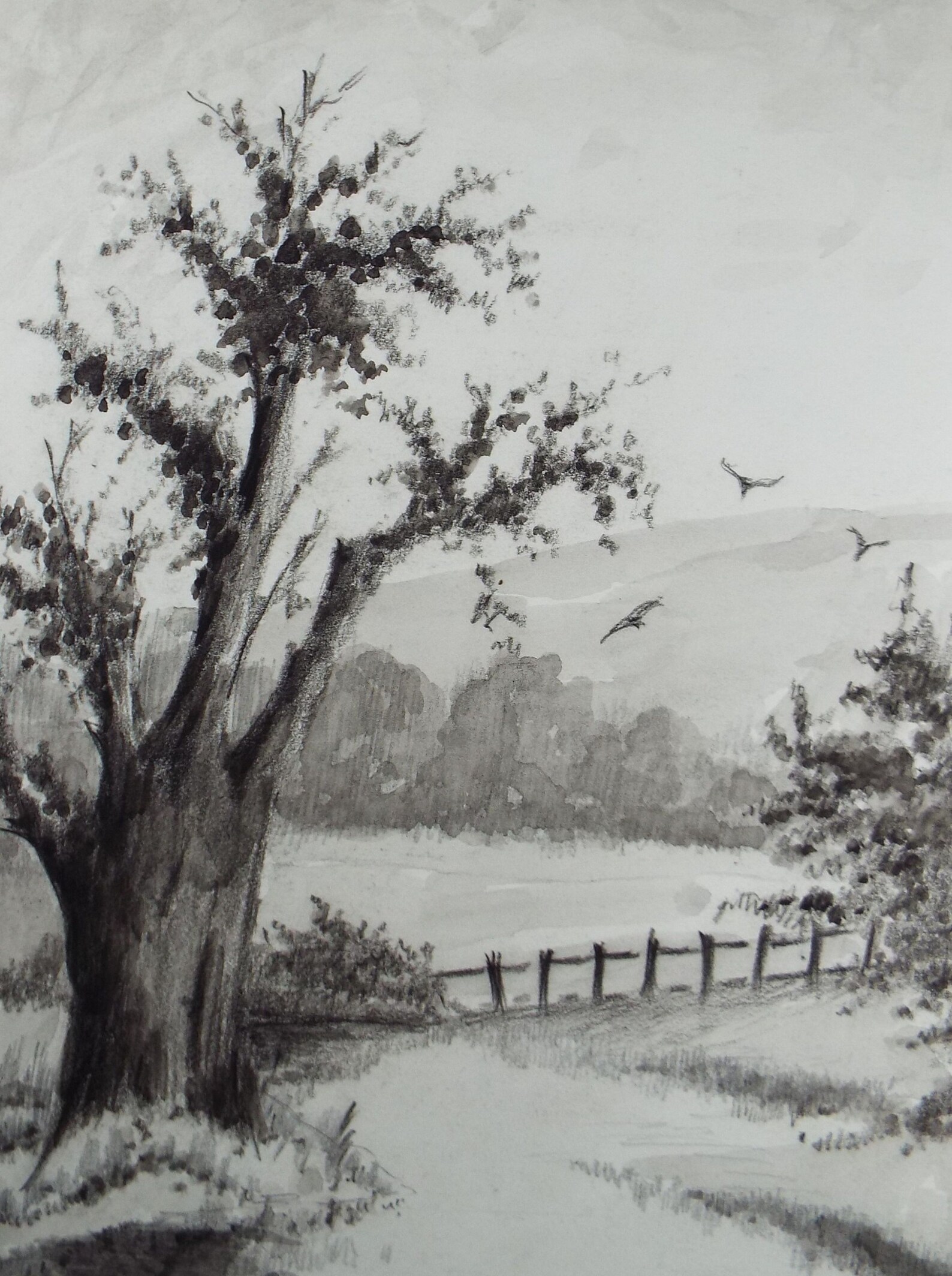 Original Ink and Wash 'tree Study With Distant Fields' 1940's, A ...