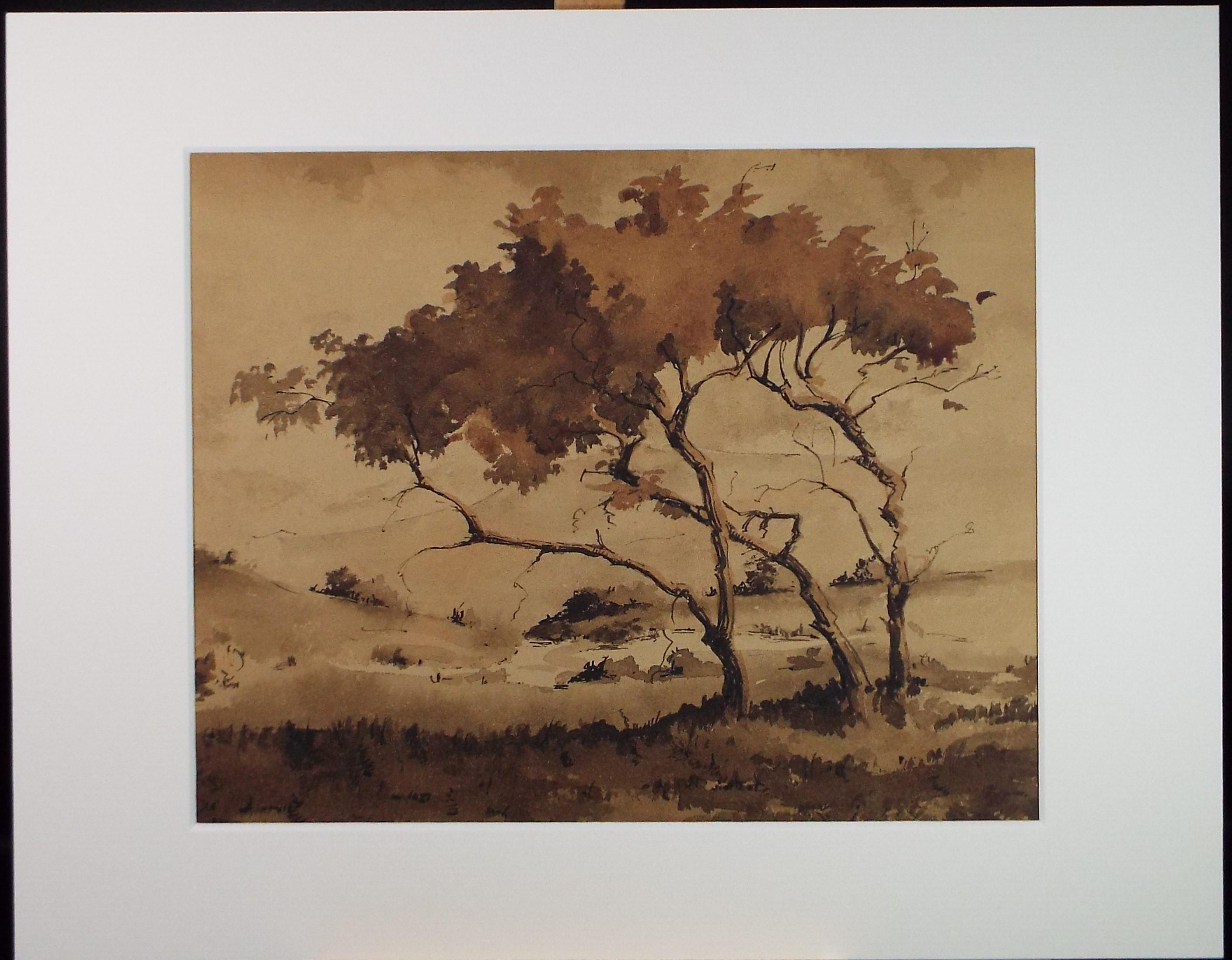 Original Sepia Watercolour, 'landscape Study', Artist Unknown, Circa ...