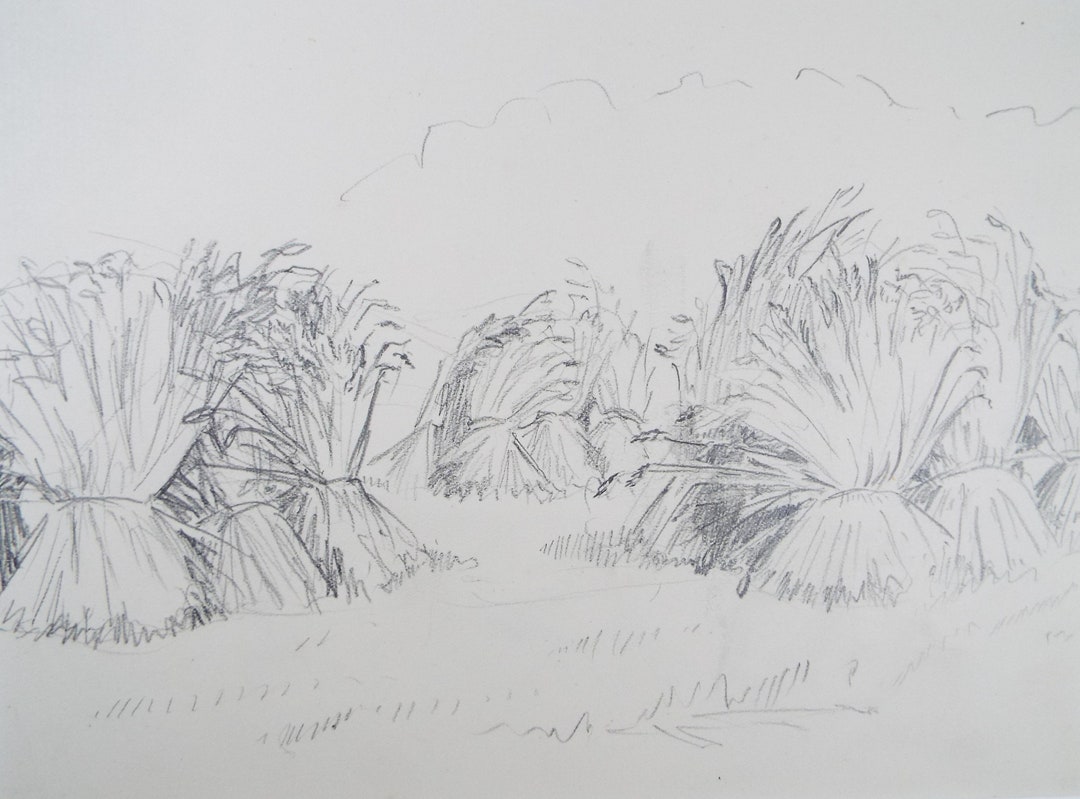 Original Pencil Sketch,'study of Corn Stooks', Helen Collins (1921-1990 ...
