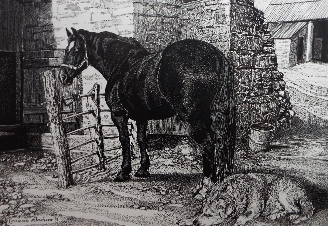 Original Scraperboard & Ink Drawing, 'horse and Dog', Lorraine Abraham ...