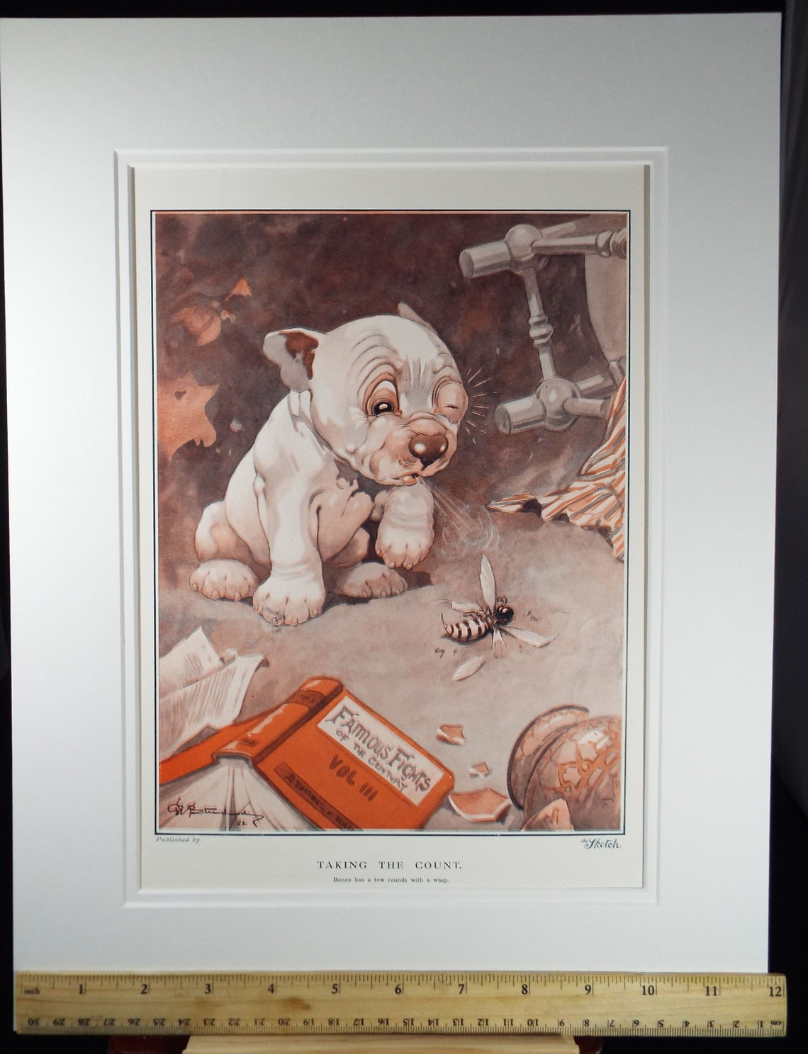 Bonzo the Dog G. E Studdy 'taking the Count' - Etsy