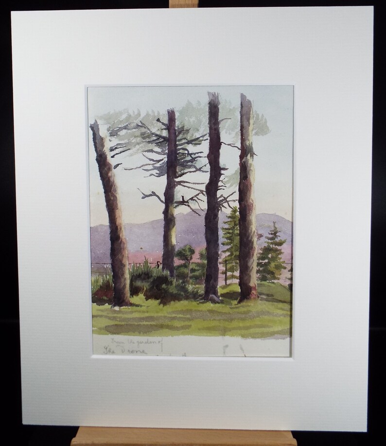 Original Watercolour Sketch, 'tree Study', C1880, Unknown Artist - Etsy