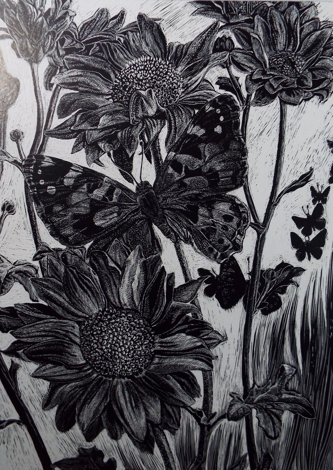 Original Scraperboard Drawing, 'summer Flowers With Butterflies ...