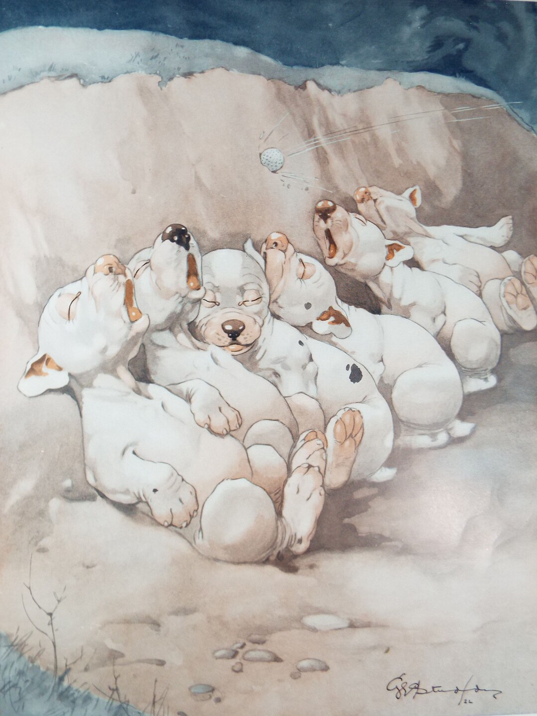 Bonzo the Dog - G. E Studdy, 'dormy Six', Vintage 1920's Print, Large ...