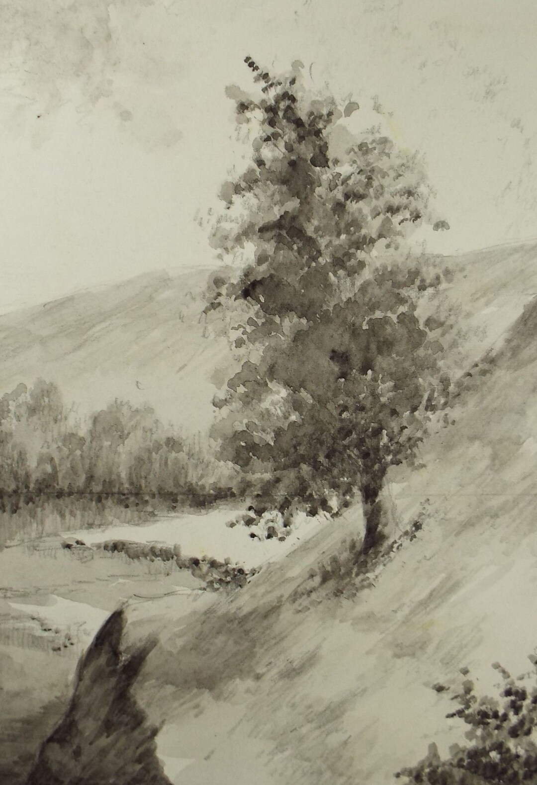 Original Ink & Wash, 'trees in a Valley', A Simmons, Circa 1940's - Etsy