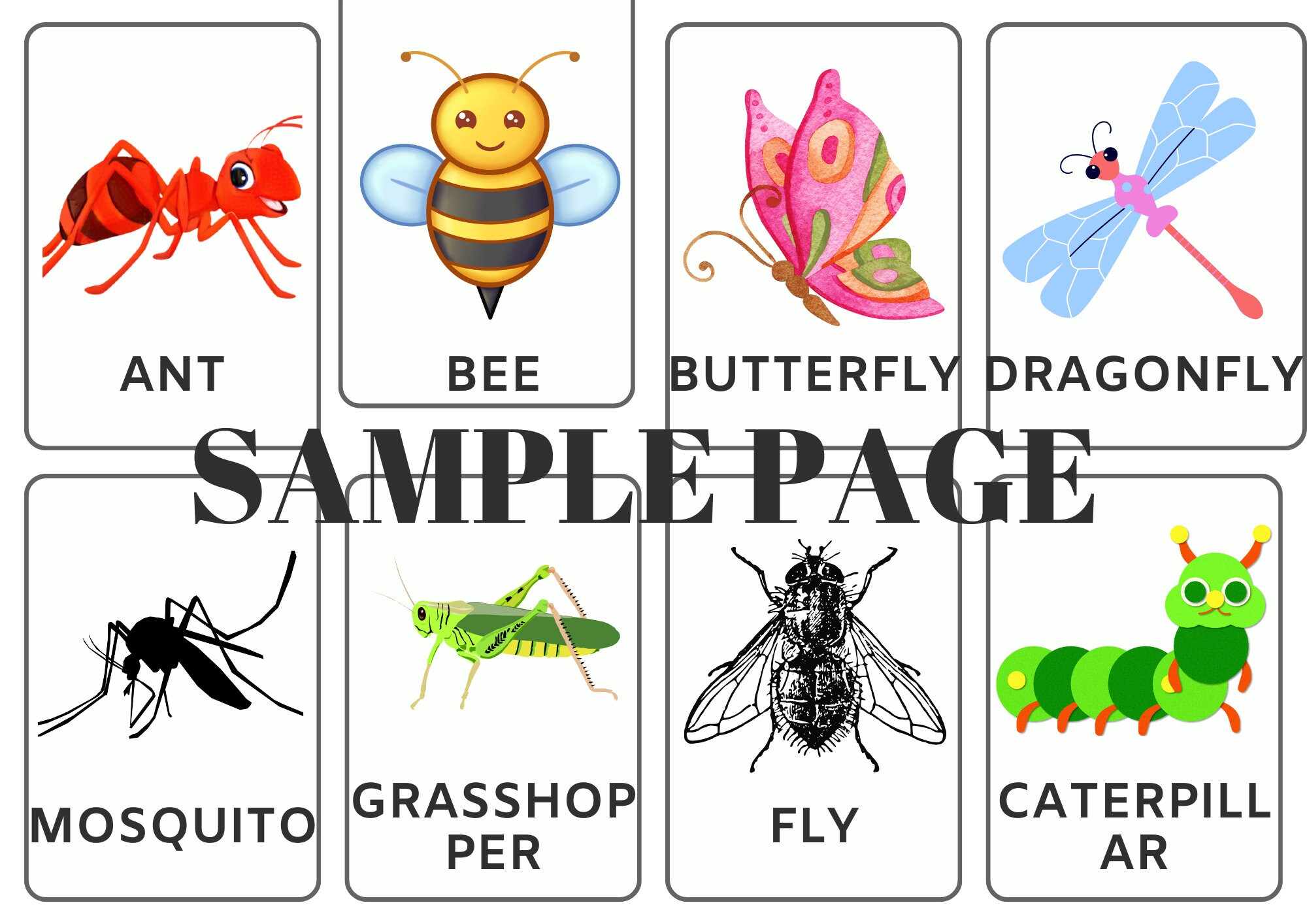 BUGS FLASH CARDS - Etsy