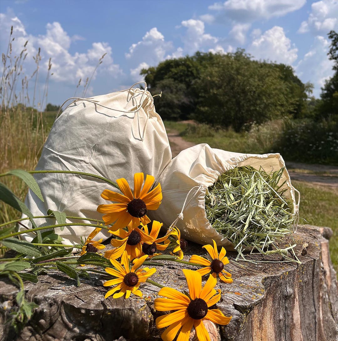 Fresh, Green, Soft, Timothy Hay for Rabbits, Bunnies, Guinea Pigs ...
