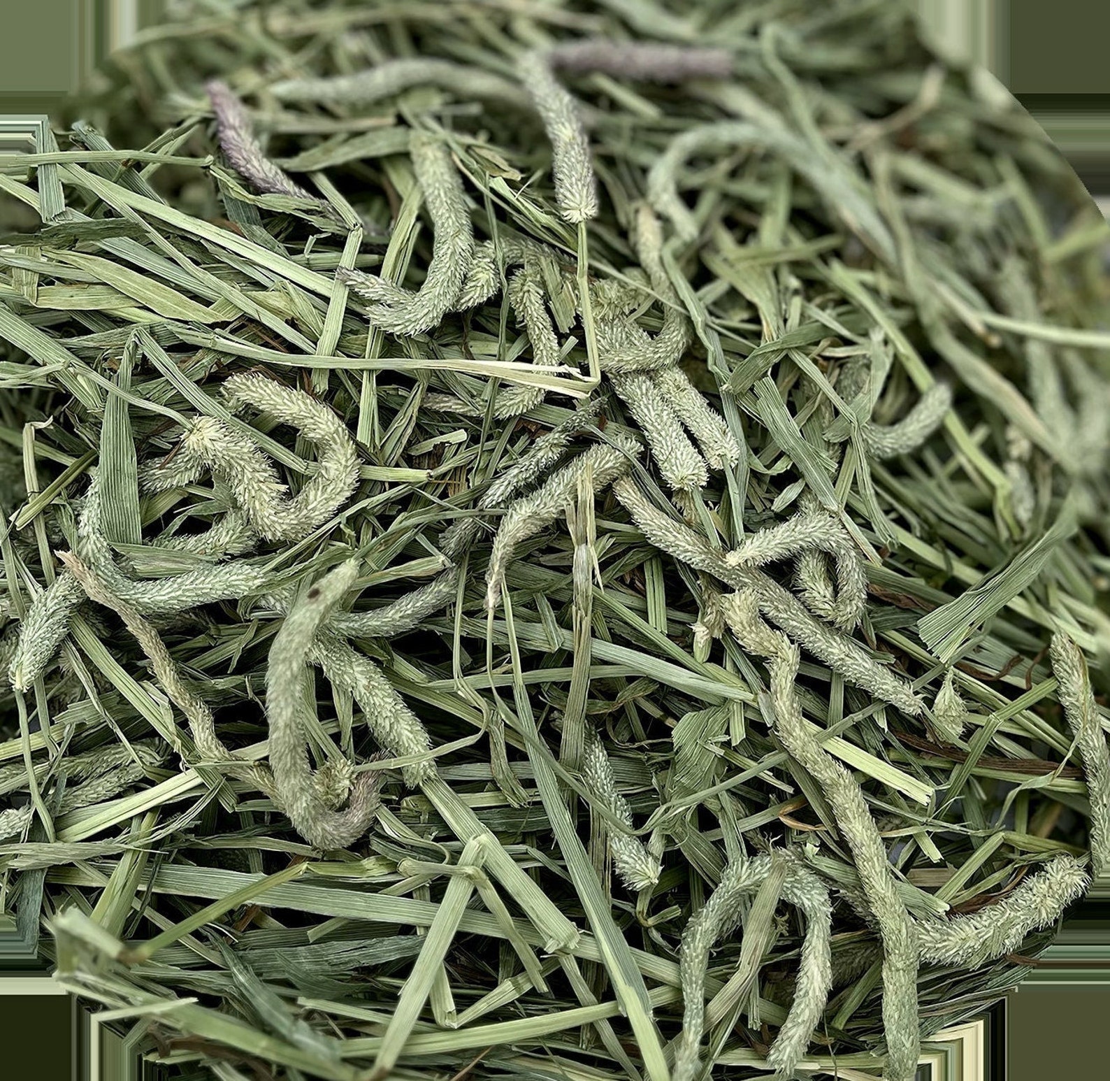 Fresh, Green, Soft, Timothy Hay for Rabbits, Bunnies, Guinea Pigs ...