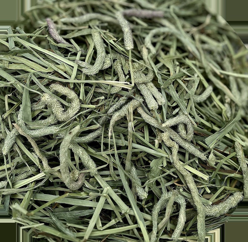 Fresh, Green, Soft, Timothy Hay for Rabbits, Bunnies, Guinea Pigs ...
