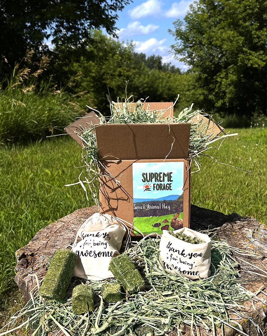 Fresh, Green, Soft, Timothy Hay for Rabbits, Bunnies, Guinea Pigs ...