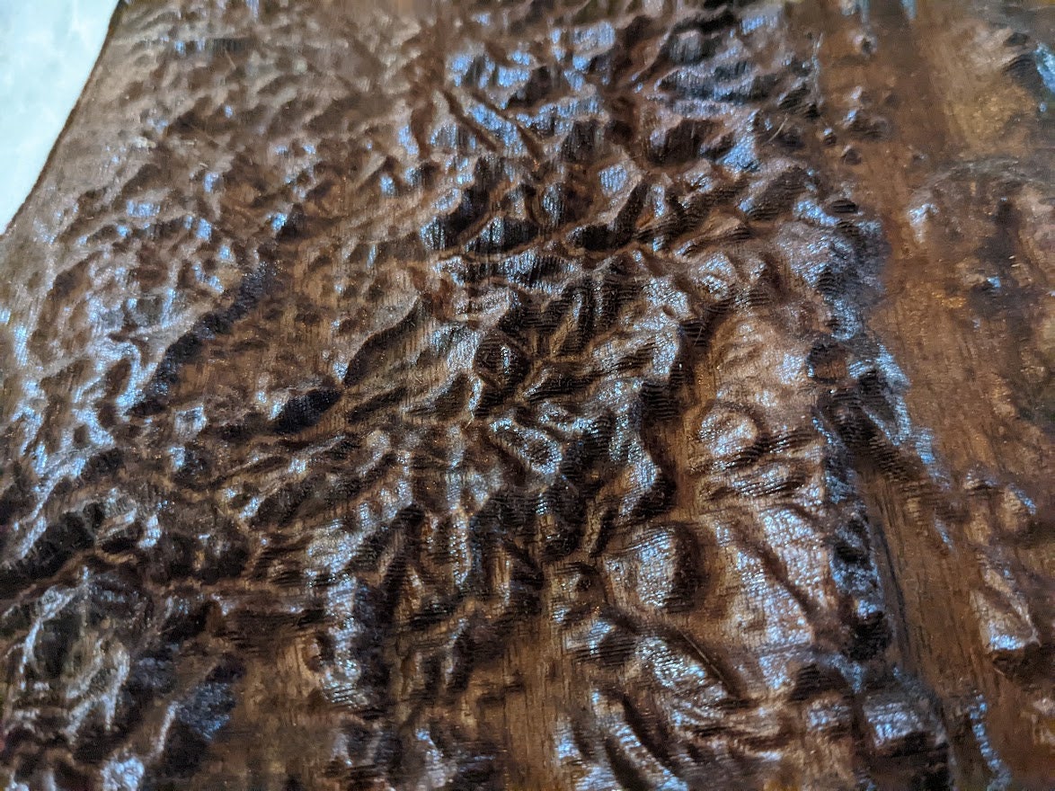 Black Walnut Topographical Relief Map of Oregon - Etsy