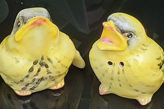 Vintage 1950's Handpainted Bird Salt & Pepper Shakers - Etsy
