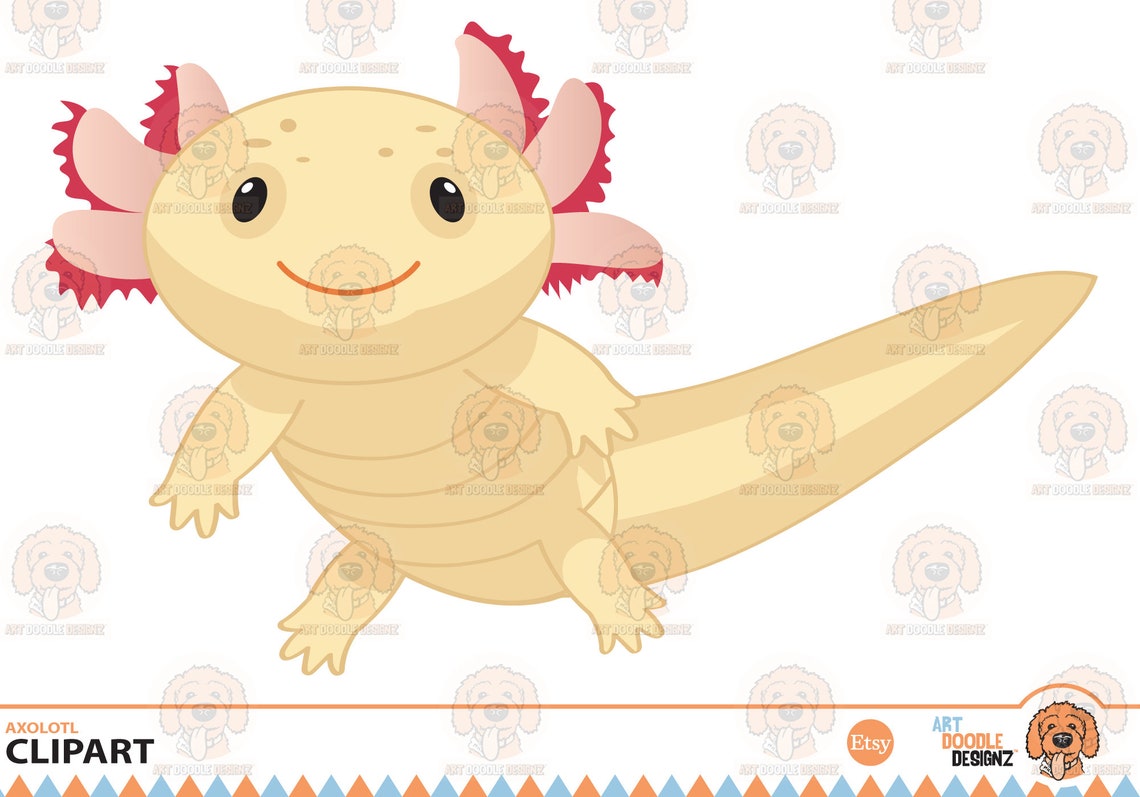 Axolotl Clipart, Animal, Amphibian, Pets, Graphics, Paedomorphic ...