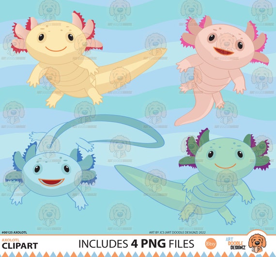 Axolotl Clipart Animal Amphibian Pets Graphics | Etsy