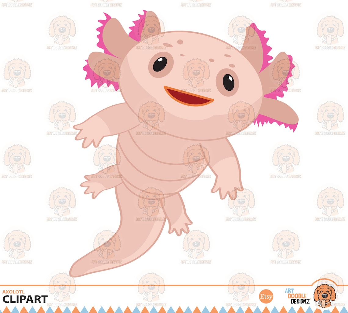Axolotl Clipart, Animal, Amphibian, Pets, Graphics, Paedomorphic ...