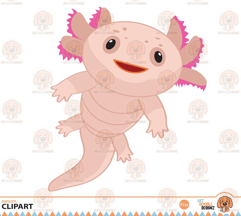 Axolotl Clipart, Animal, Amphibian, Pets, Graphics, Paedomorphic ...