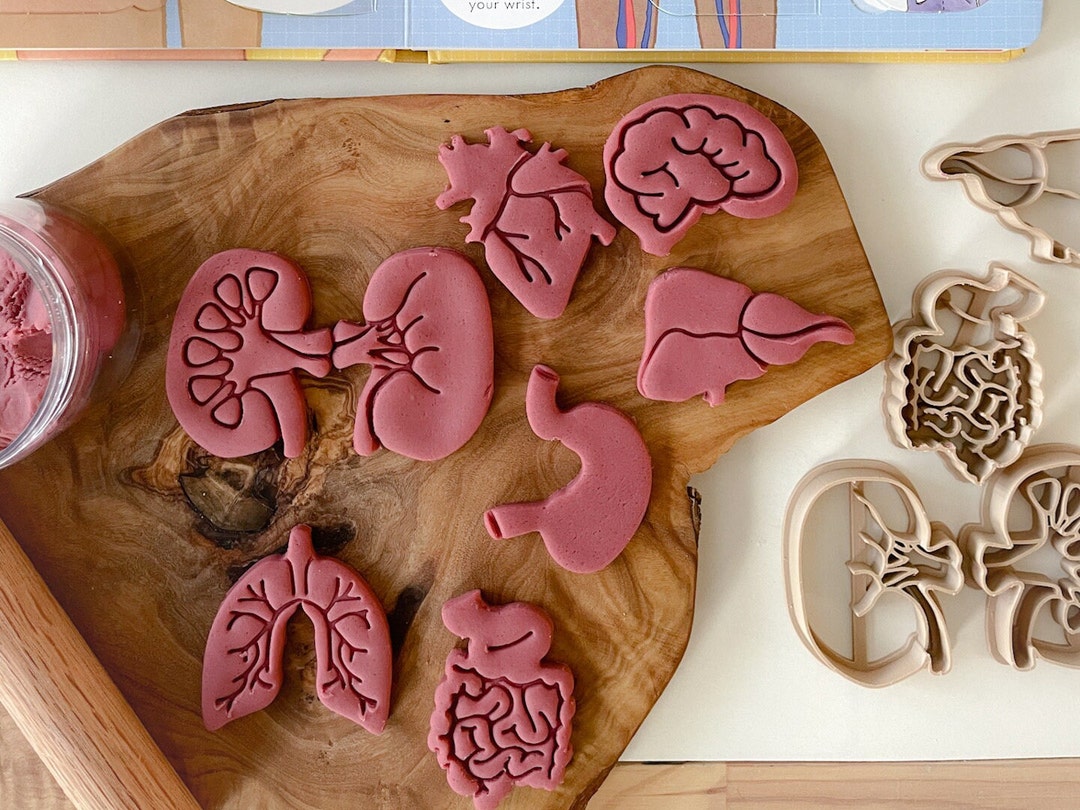 Mini Human Anatomy Bio Dough Cutters, Cookie Cutters, Playdough ...