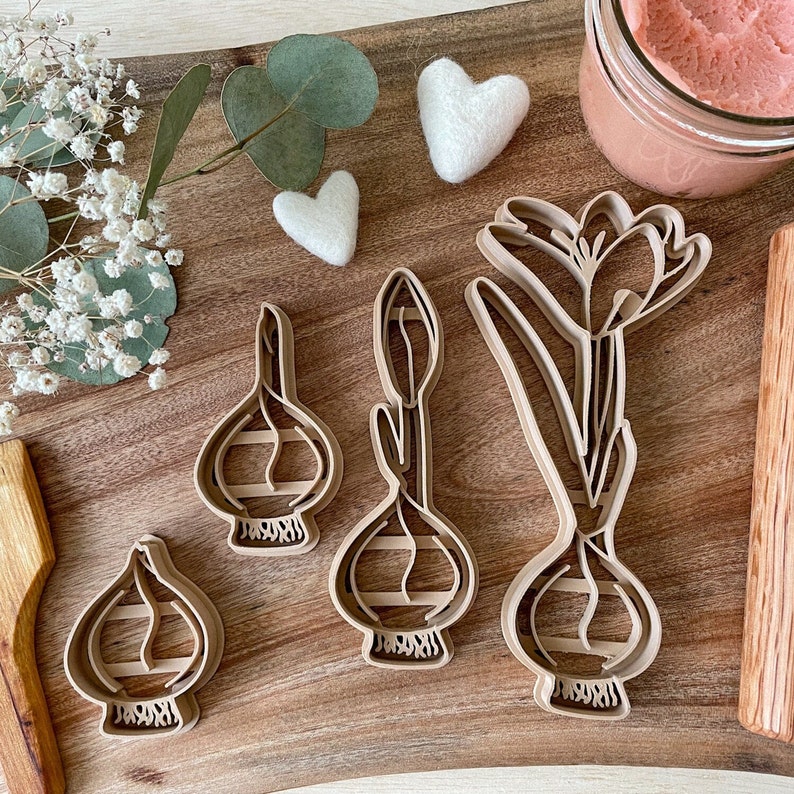 Crocus Bulb Family Life Cycle Bio Dough Cutter Set of 4, Montessori ...