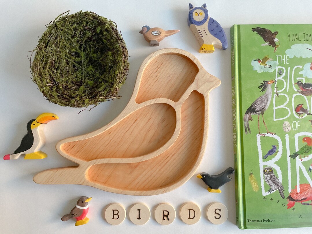 Bird Wooden Sensory Tray | Sensory Bin | Sensory Activity | Preschool ...