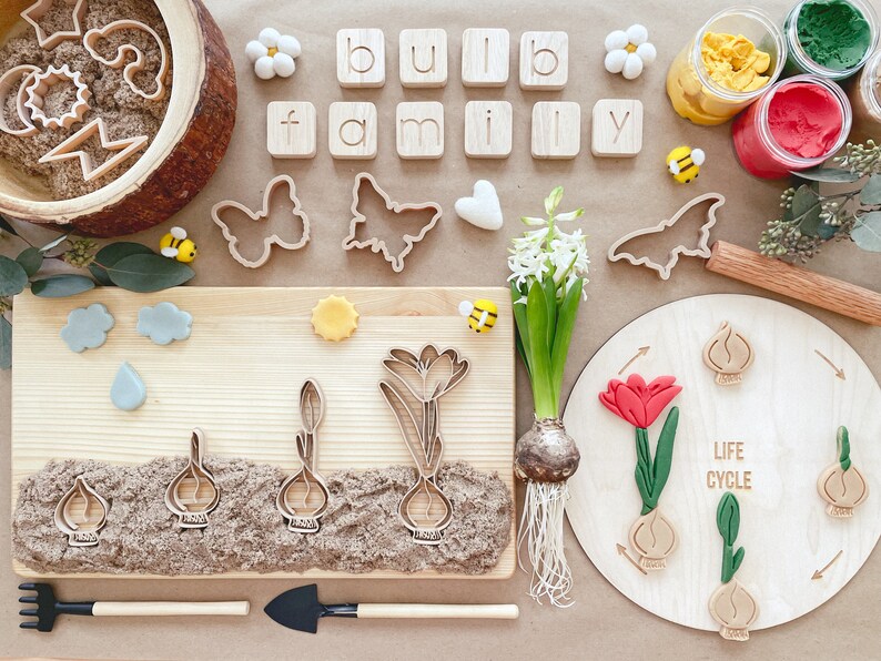 Crocus Bulb Family Life Cycle Bio Dough Cutter Set of 4, Montessori ...