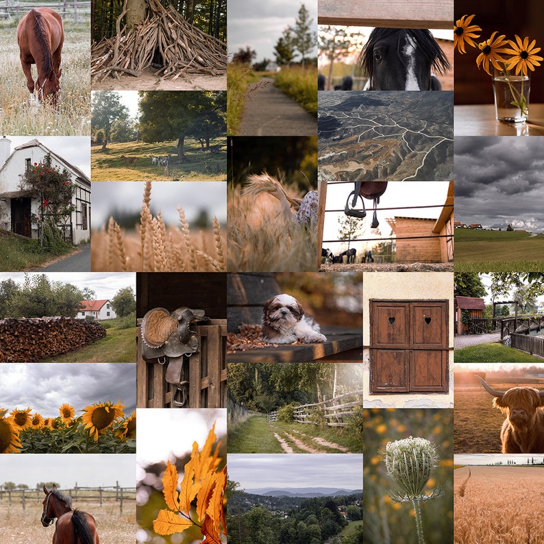 Brown Wall Collage Kit Rustic of 40 Pcs Own Original - Etsy