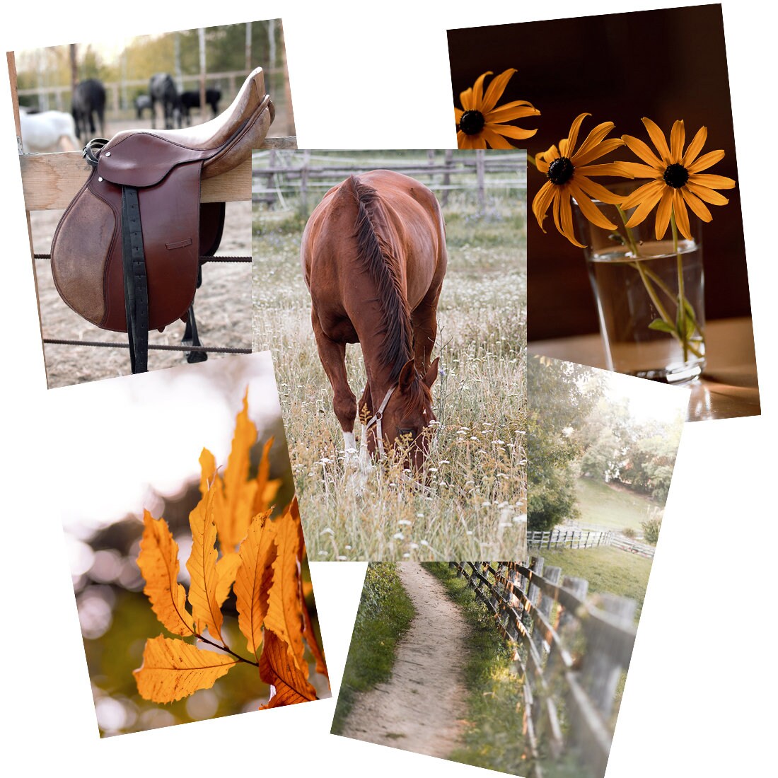 Brown Wall Collage Kit Rustic of 40 Pcs Own Original - Etsy