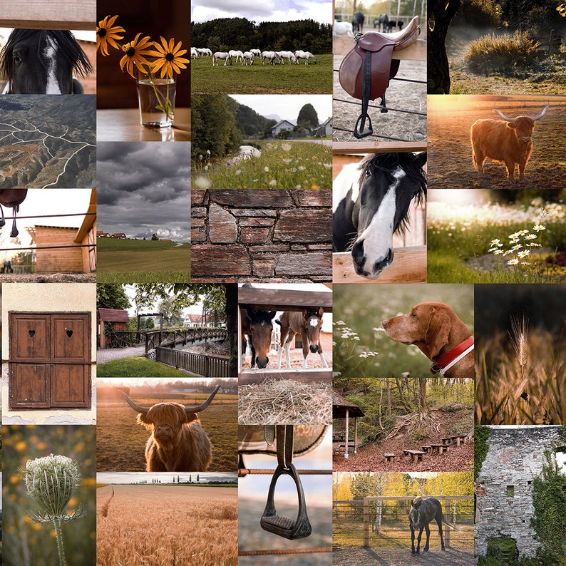 Brown Wall Collage Kit Rustic of 40 Pcs Own Original - Etsy