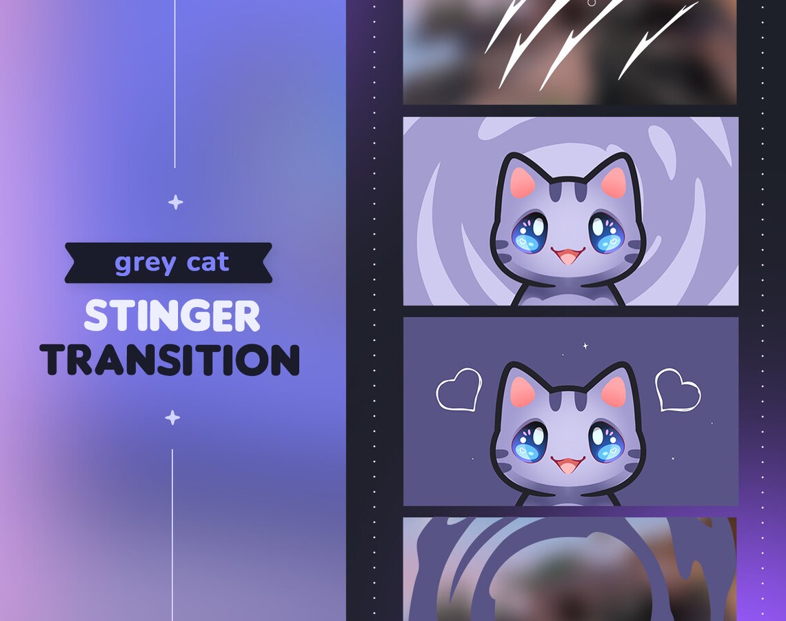 Grey Cat Stinger Transition Cute Kitty OBS Scene Transition - Etsy