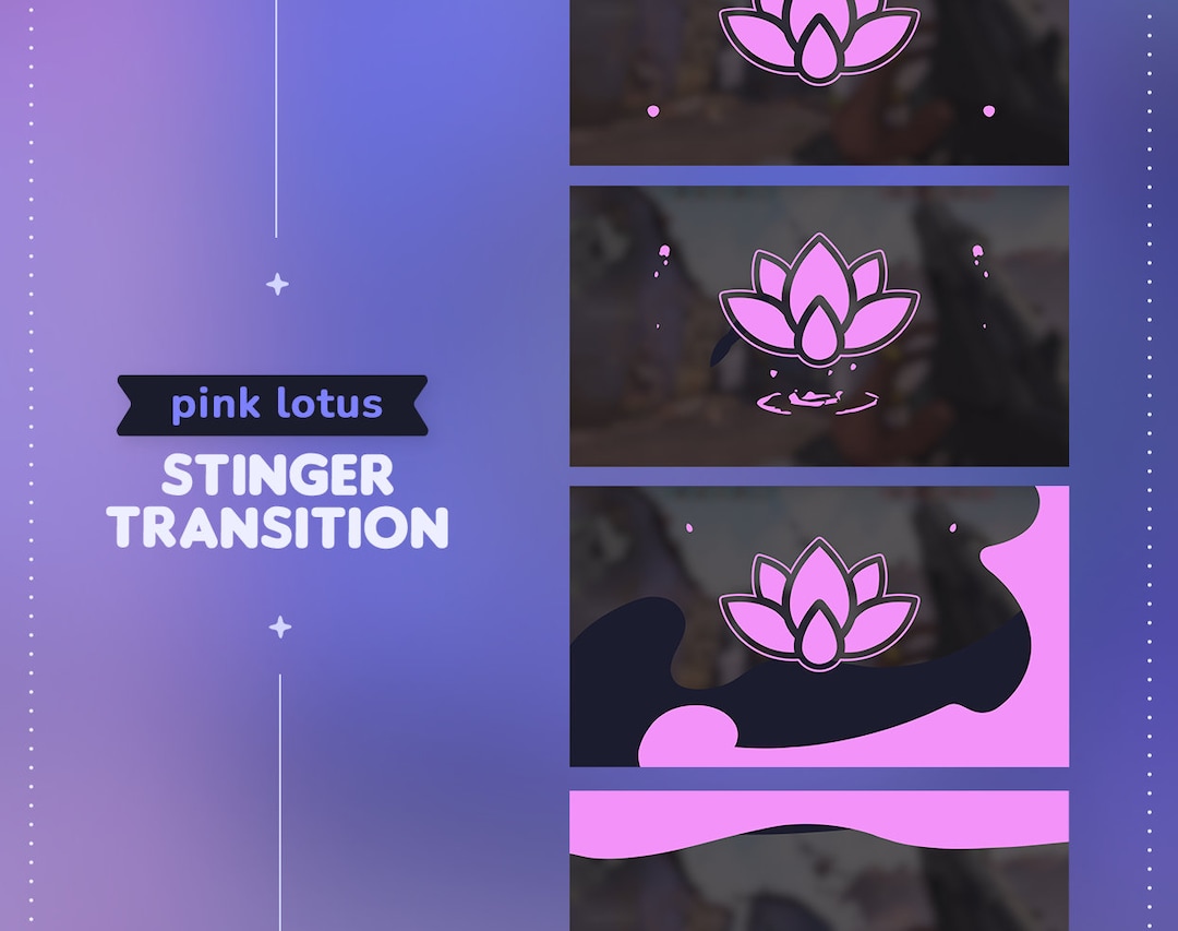 Animated Pink Lotus Stinger Transition || Cute Lotus Flower Twitch ...
