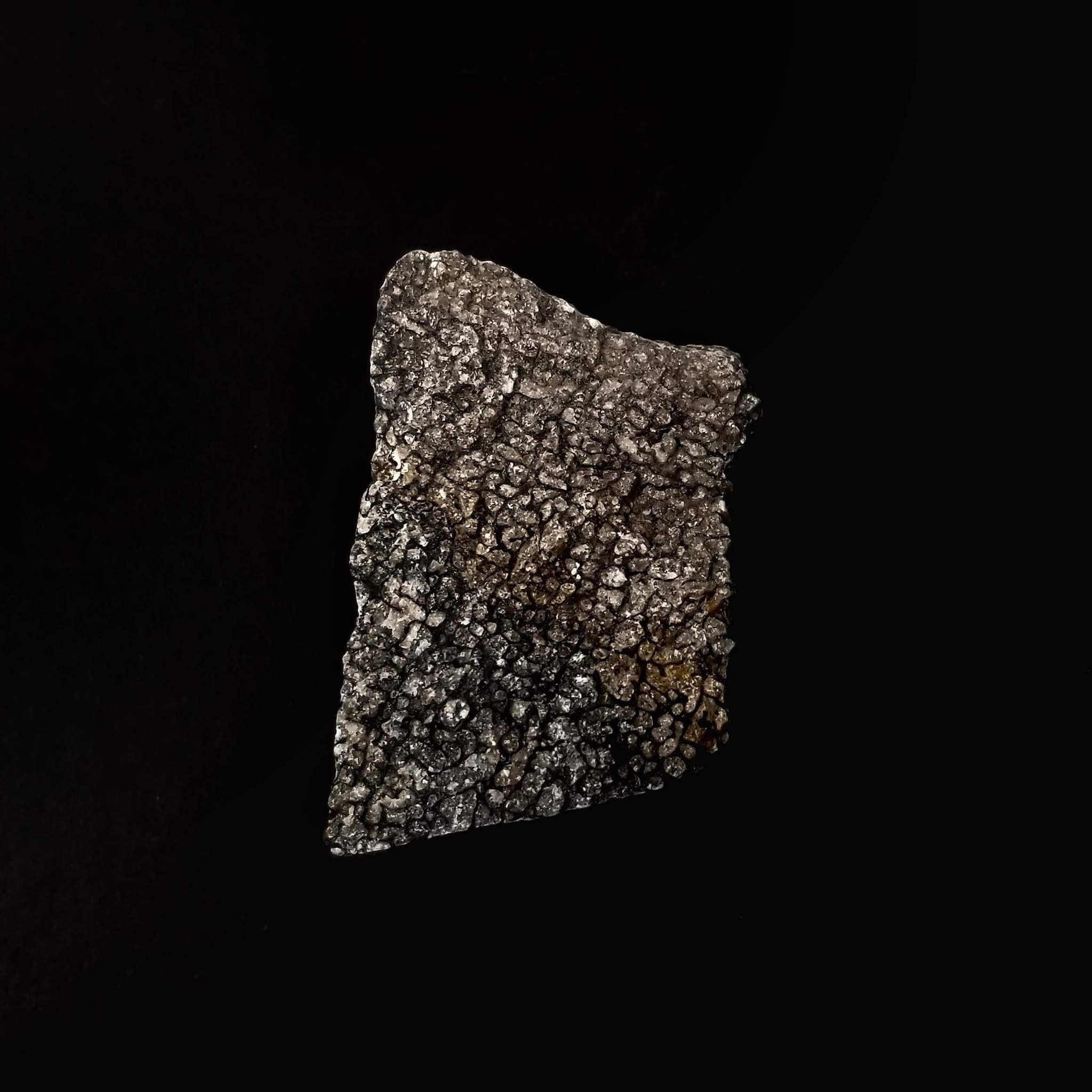 Dinosaur Bone Chunk Real Fossil Jurassic Dinosaur 112 to - Etsy