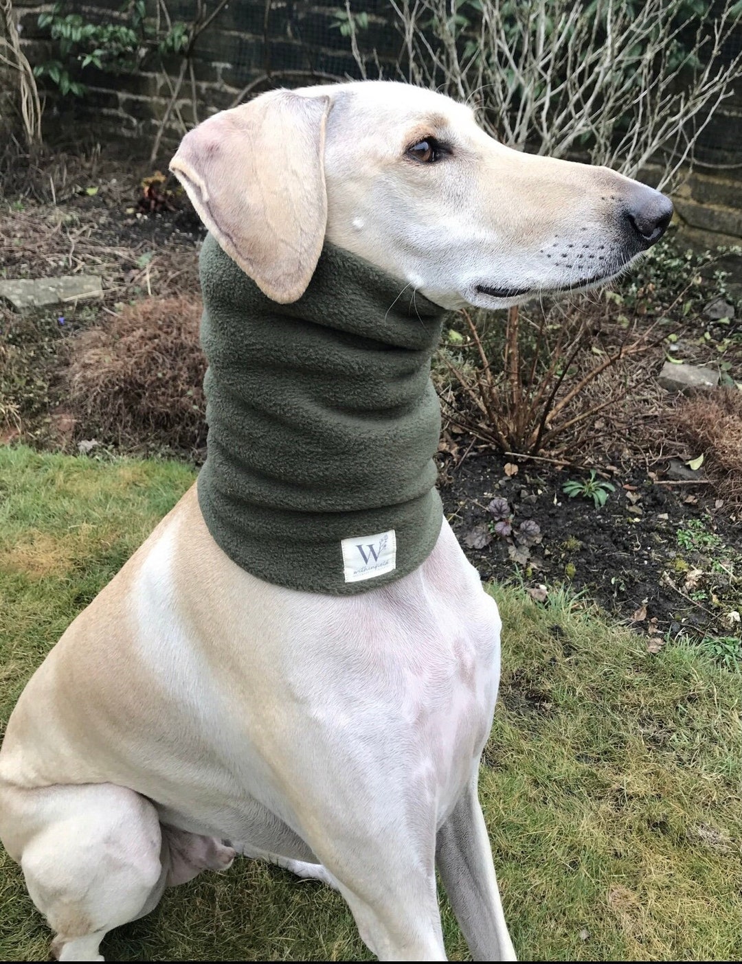 Fleece Dog Snood Khaki - Etsy