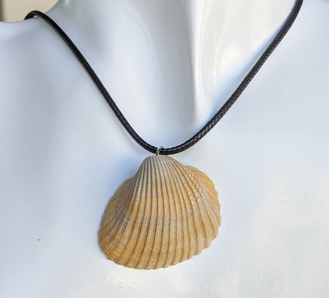 Real Shell Necklace, Scallop Shell Pendant, Beachcore, Beachy Necklace ...