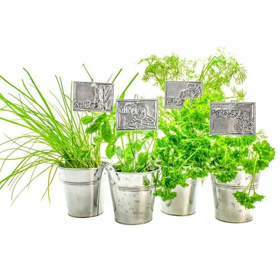 Metal Embossing Planter Label Kit Makes up to 15 Labels - Etsy