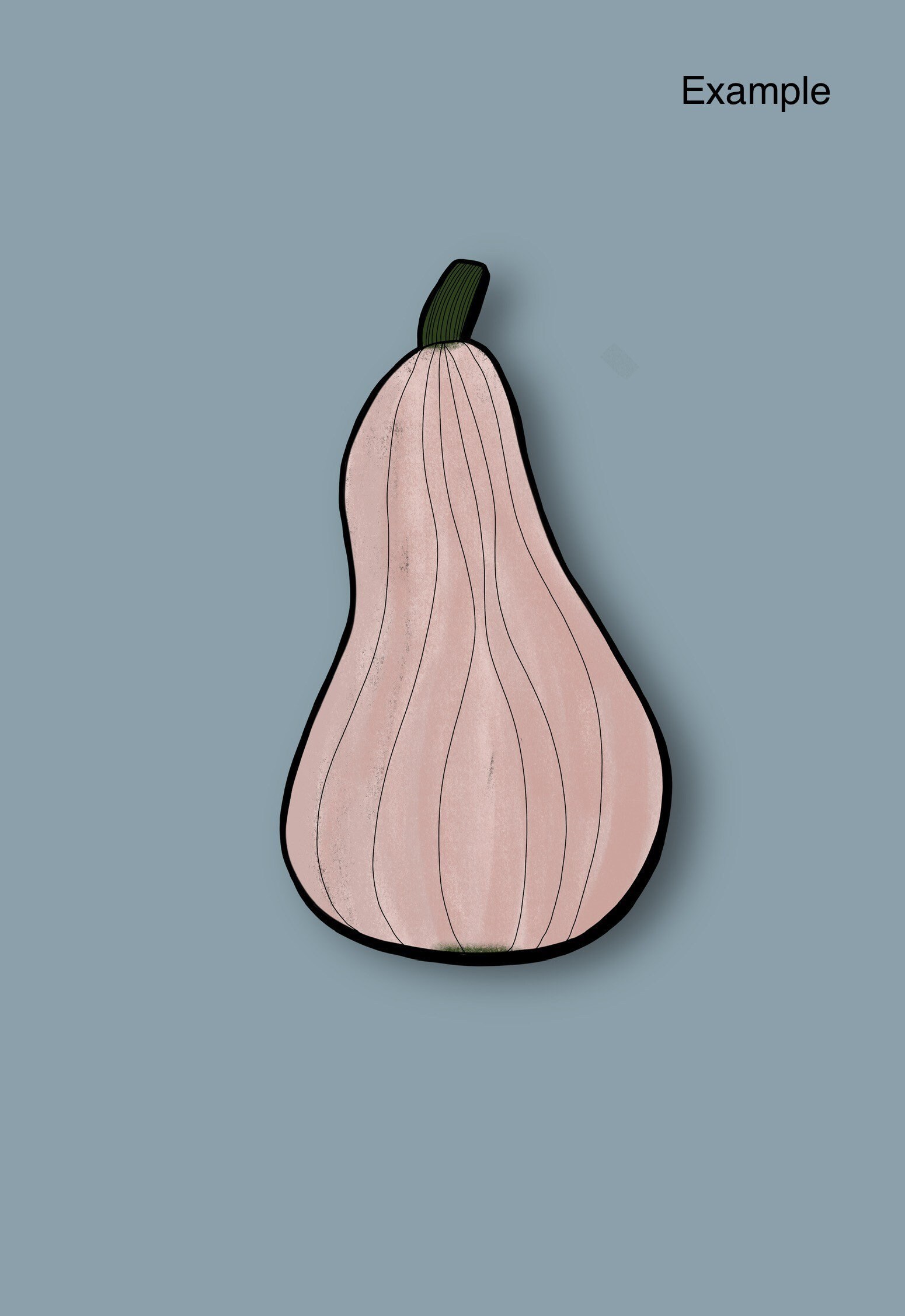 Hand Drawn Butternut Squash , SVG Digital Download File, Glowforge ...
