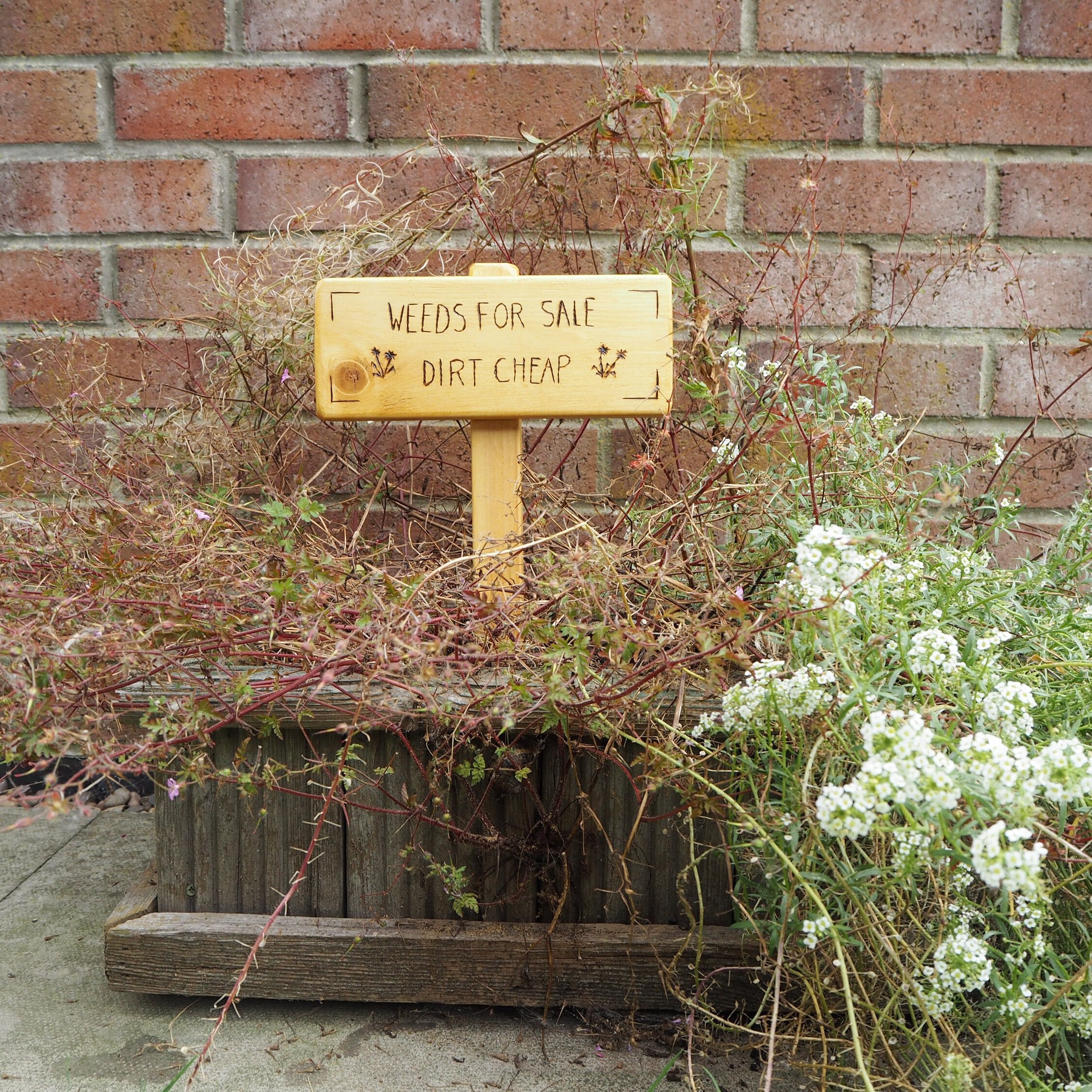 Garden Stake Signs, Garden Signs, Pyrography Signs, Sign for Plants ...