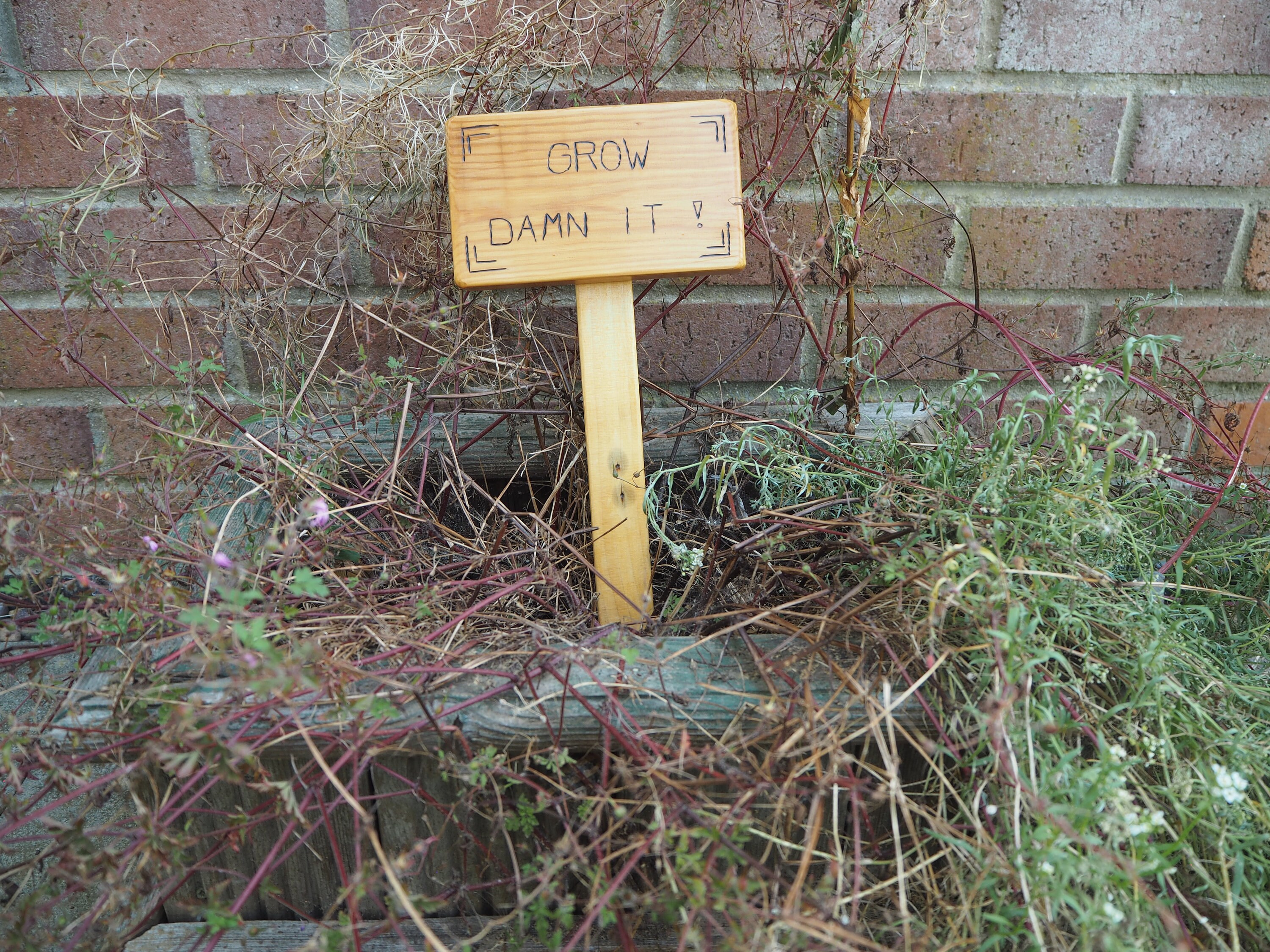 Garden Stake Signs, Garden Signs, Pyrography Signs, Sign for Plants ...