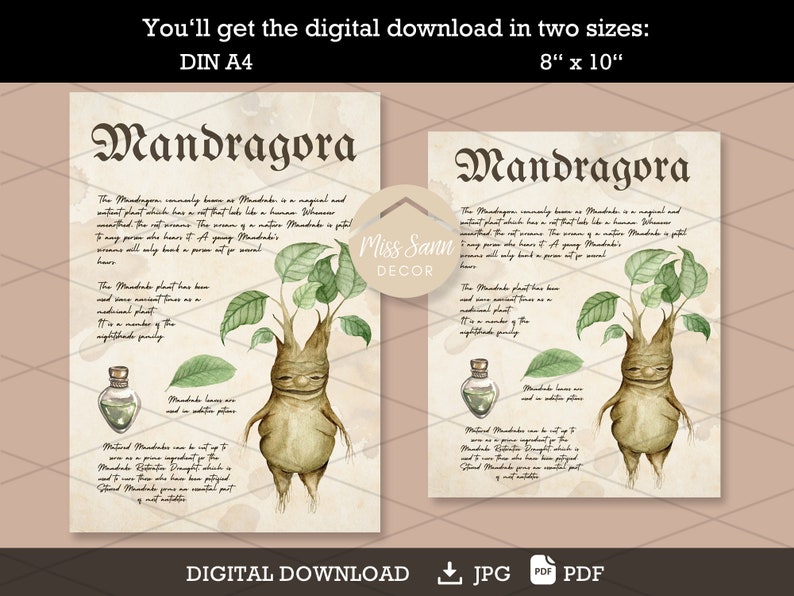 Mandrake Poster Magic School Poster Spell Book Page Dark - Etsy