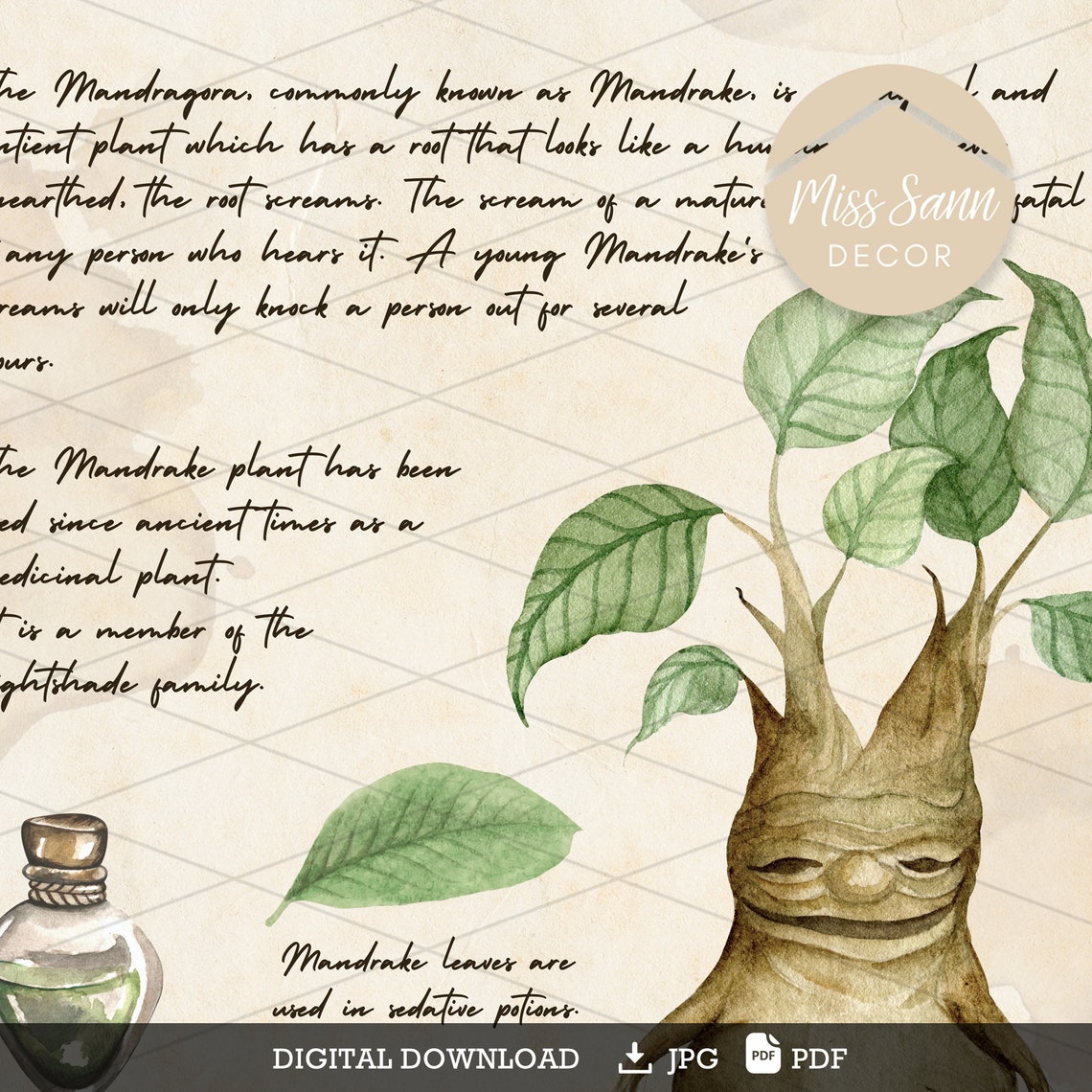 Mandrake Poster Magic School Poster Spell Book Page Dark - Etsy