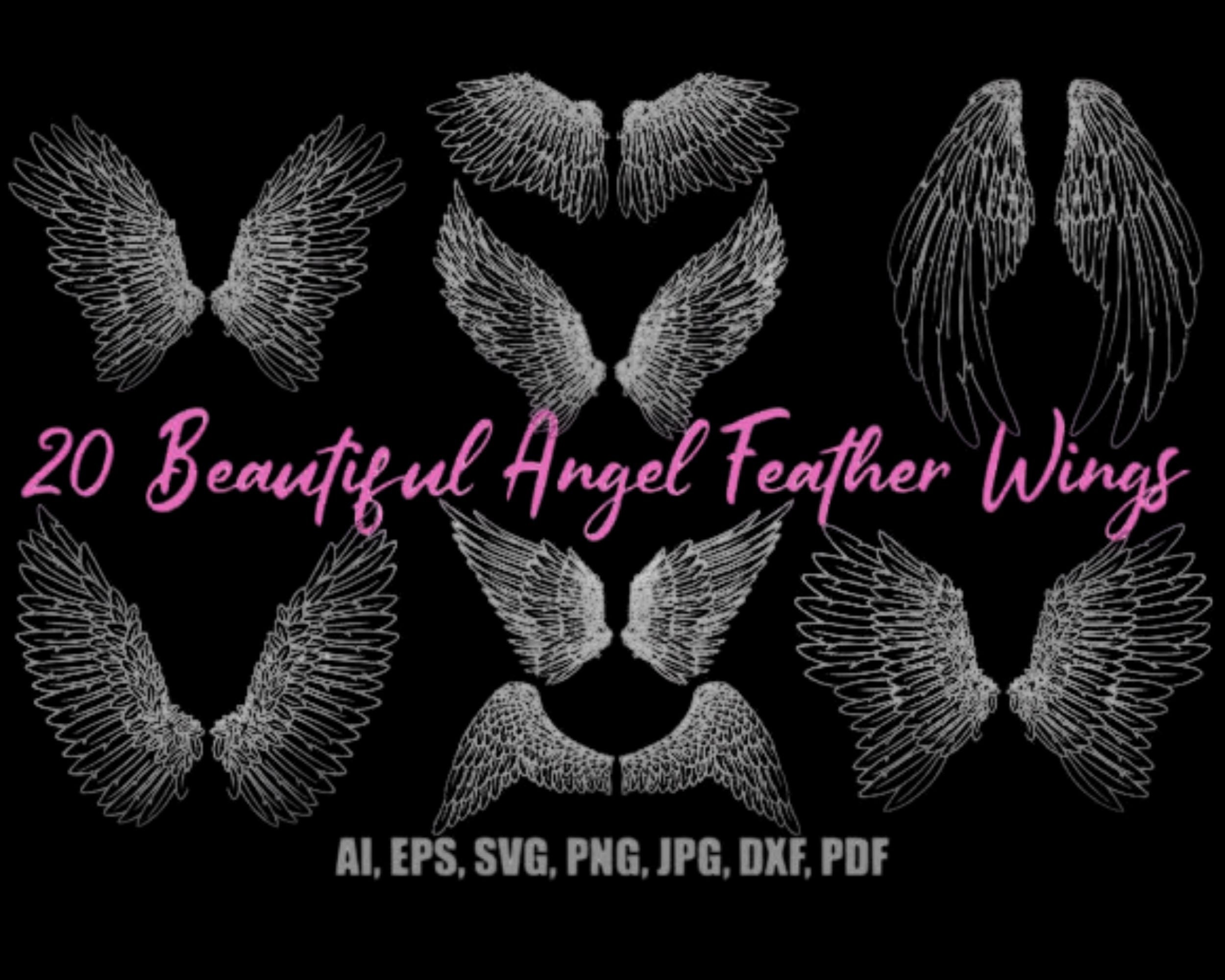 Beautiful Angel Wings Png