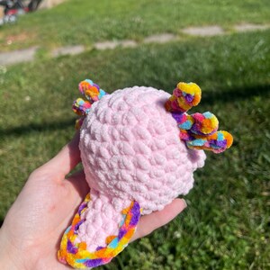 Axel the Axolotl, No Sew Crochet Pattern, Amigurumi Pattern - Etsy