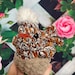 Mini Poofy Head Chicken With Nest Crochet Pattern, Beginner Friendly ...