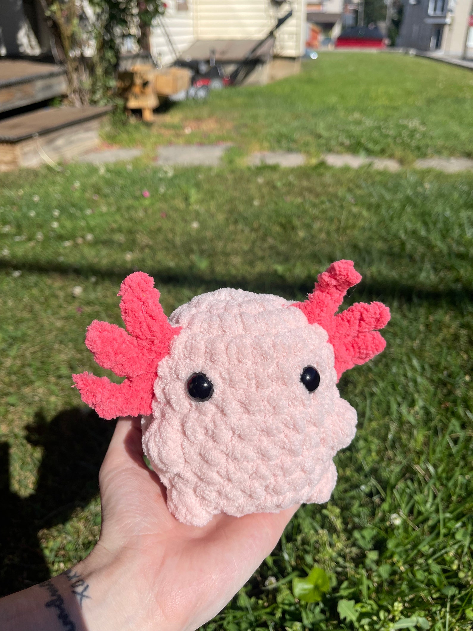 Axel the Axolotl, No Sew Crochet Pattern, Amigurumi Pattern - Etsy