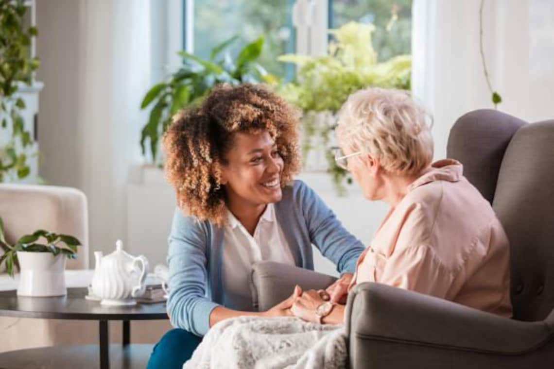 Home Care Client Intake & Assessment Form: Non-medical (PDF Template ...