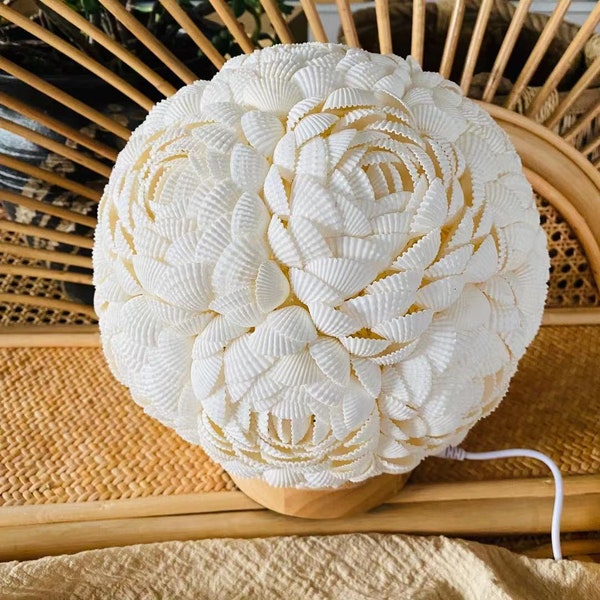 Sea Shell Lamp - Etsy